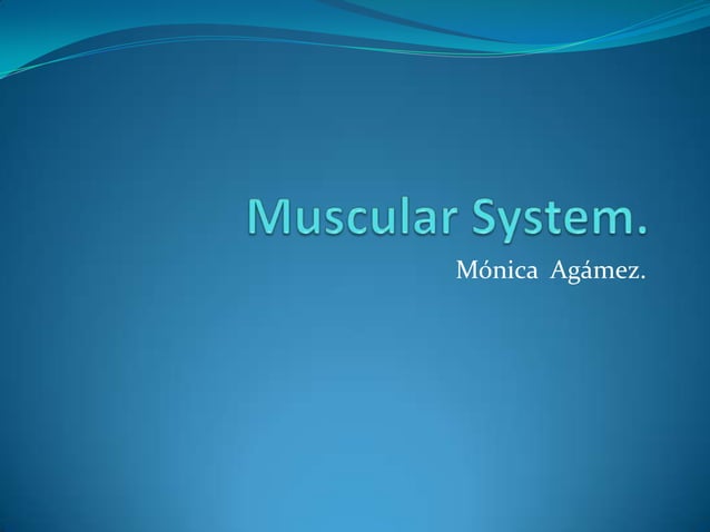 Muscular system | PPT