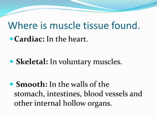 Muscular system | PPTX