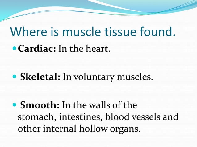 Muscular system | PPT
