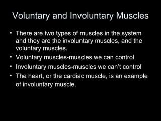 Muscular system | PPT