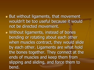 Muscular system | PPT | Free Download