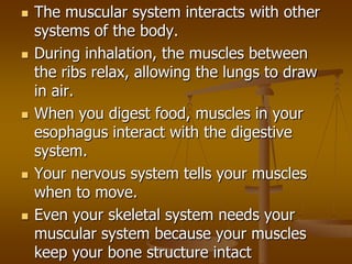 Muscular system | PPT | Free Download