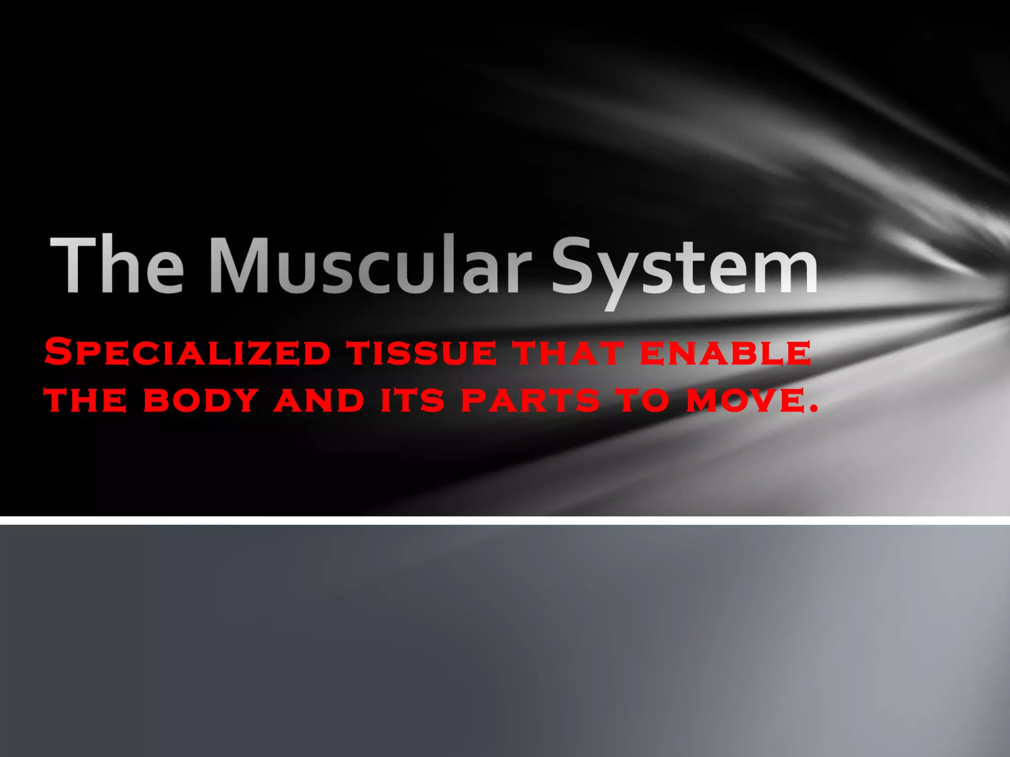 Muscular system: M- mobility, U- unity, S- strength, C- coordination, L ...