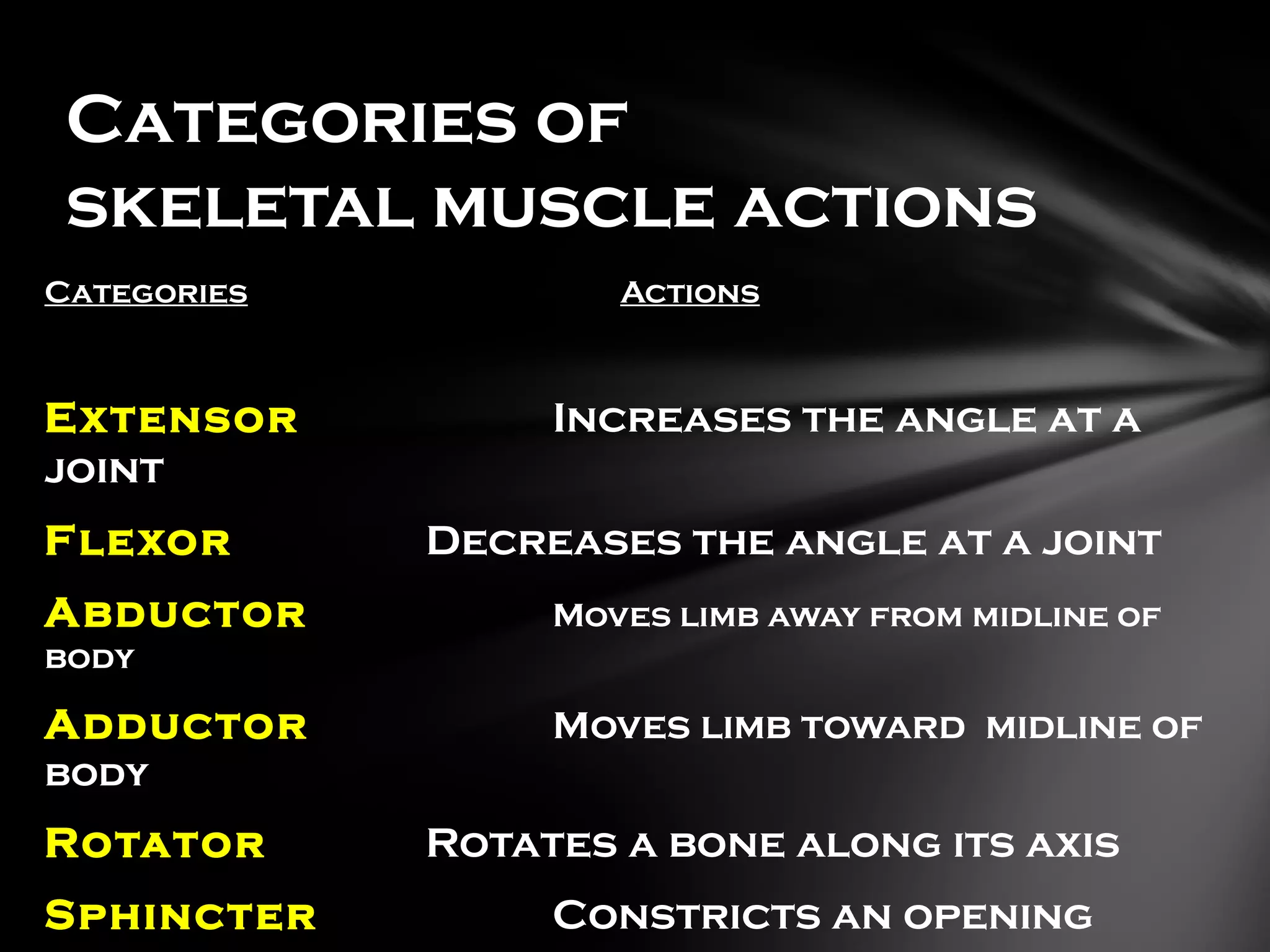 Muscular system: M- mobility, U- unity, S- strength, C- coordination, L ...