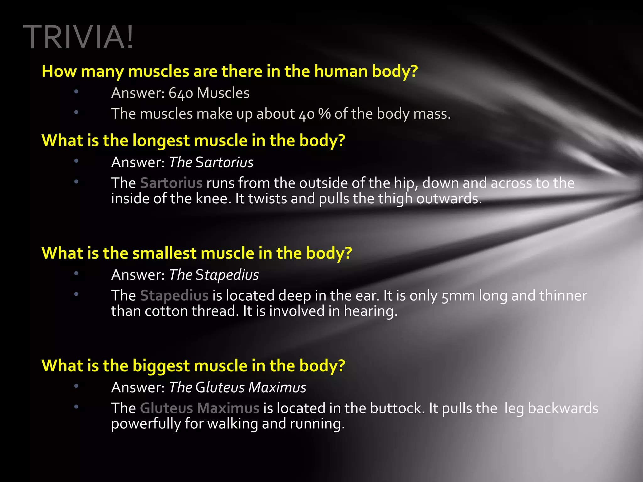 Muscular system: M- mobility, U- unity, S- strength, C- coordination, L ...