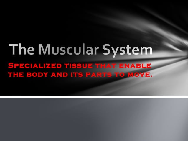 Muscular system: M- mobility, U- unity, S- strength, C- coordination, L ...