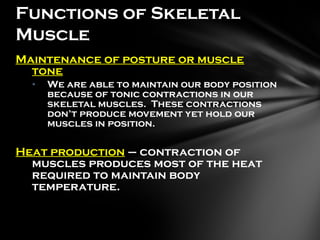 Muscular system: M- mobility, U- unity, S- strength, C- coordination, L ...