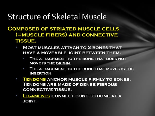 Muscular system: M- mobility, U- unity, S- strength, C- coordination, L ...