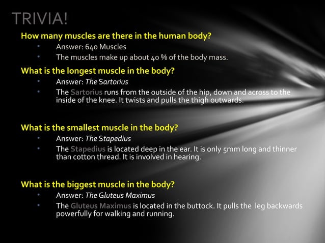 Muscular system: M- mobility, U- unity, S- strength, C- coordination, L ...