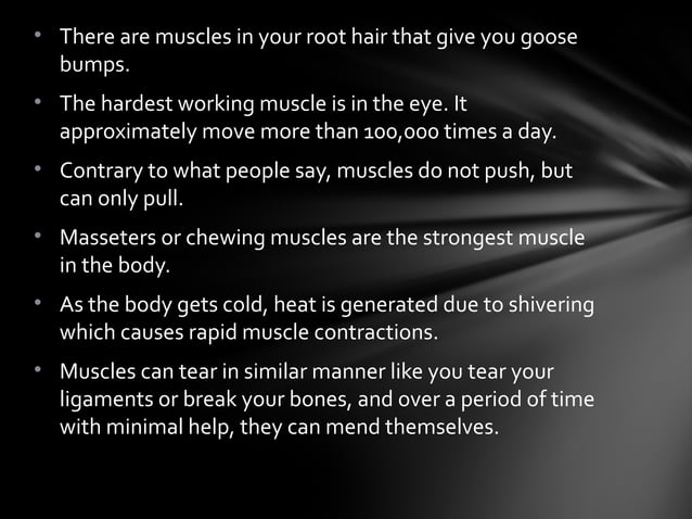 Muscular system: M- mobility, U- unity, S- strength, C- coordination, L ...