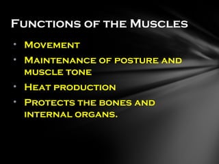 Muscular system: M- mobility, U- unity, S- strength, C- coordination, L ...