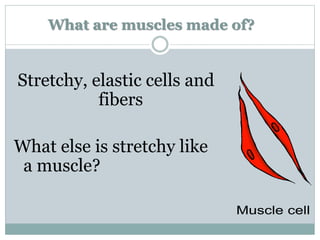Muscular System for F.S 4 | PPT