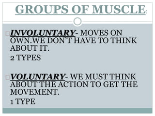 Muscular System for F.S 4 | PPT