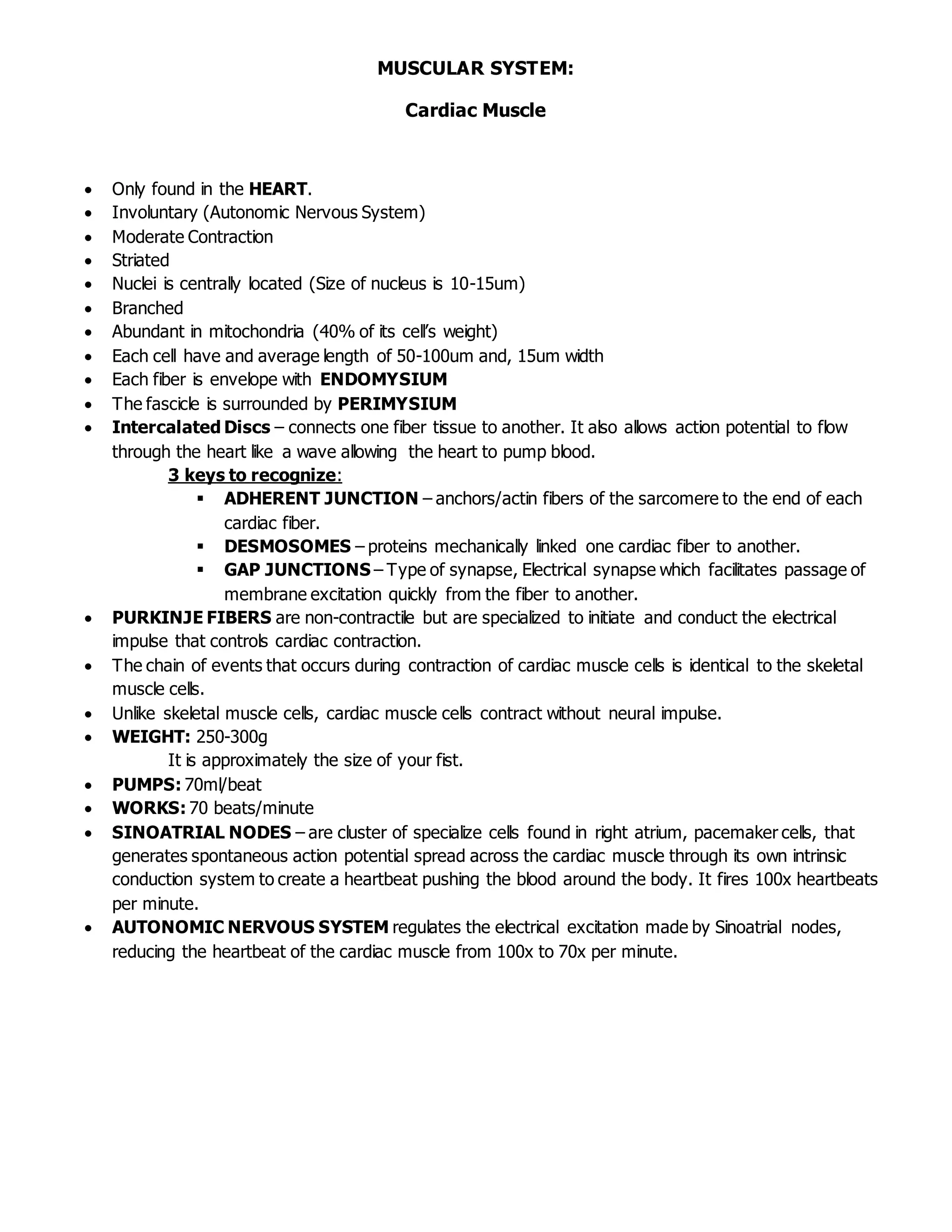 Muscular System: The Cardiac Muscle (Heart) | DOCX