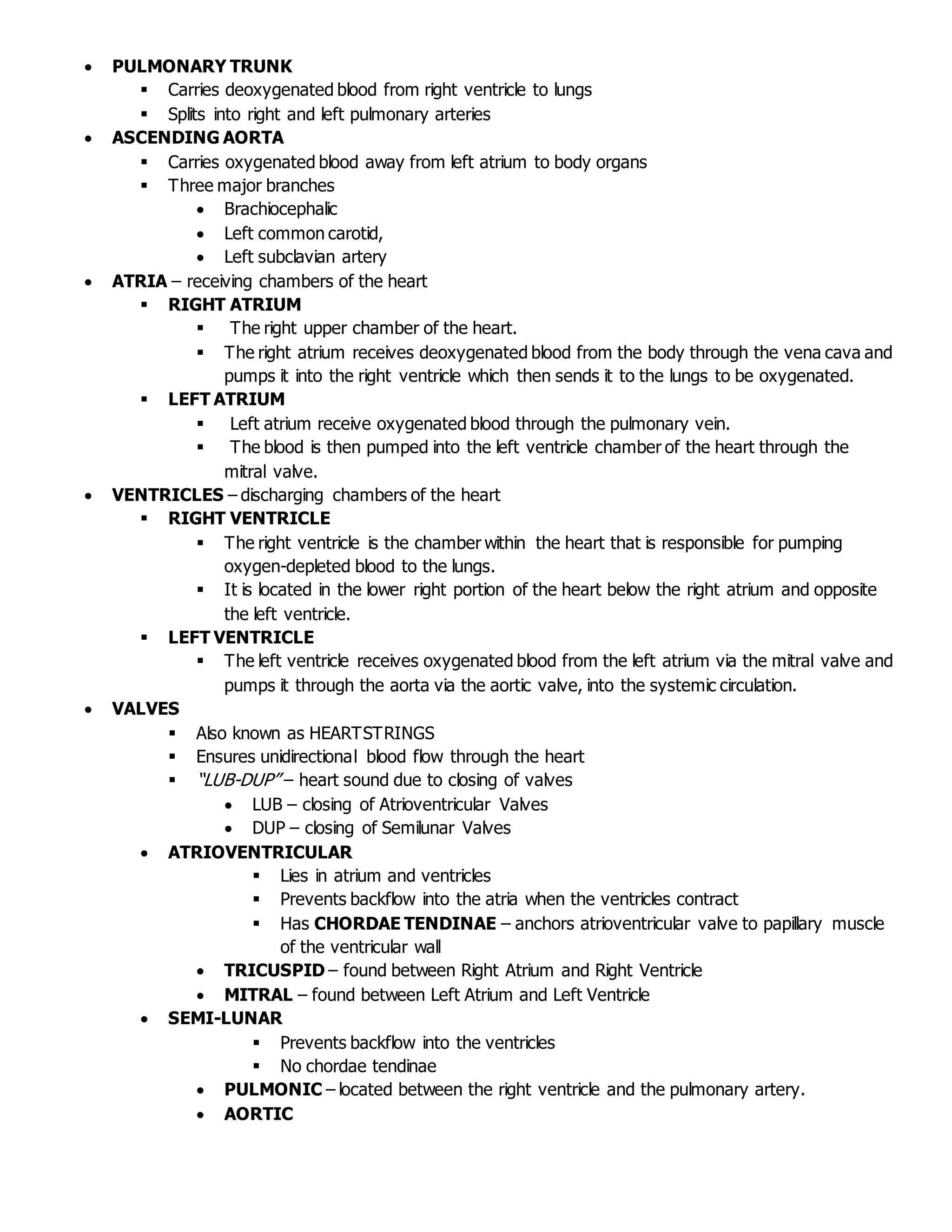Muscular System: The Cardiac Muscle (Heart) | DOCX