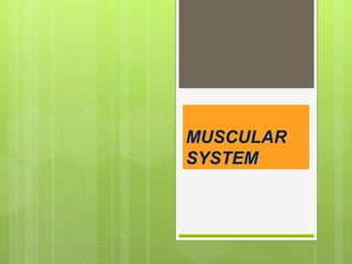 Muscular system | PPTX | Physical Therapy | Wellness