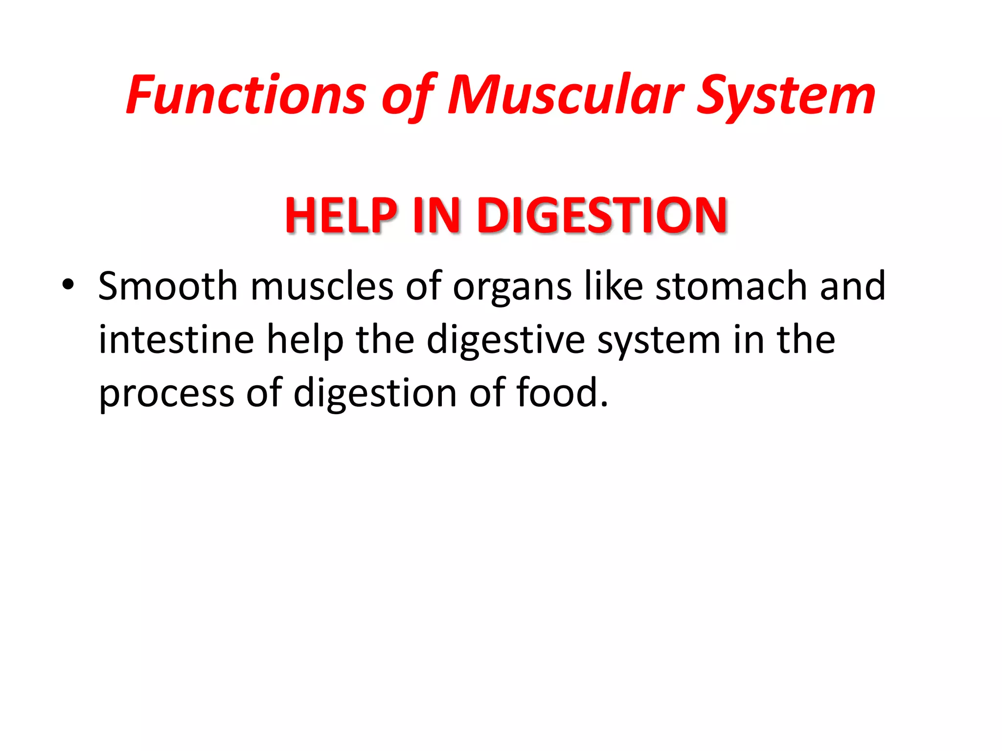 Muscular system | PPTX