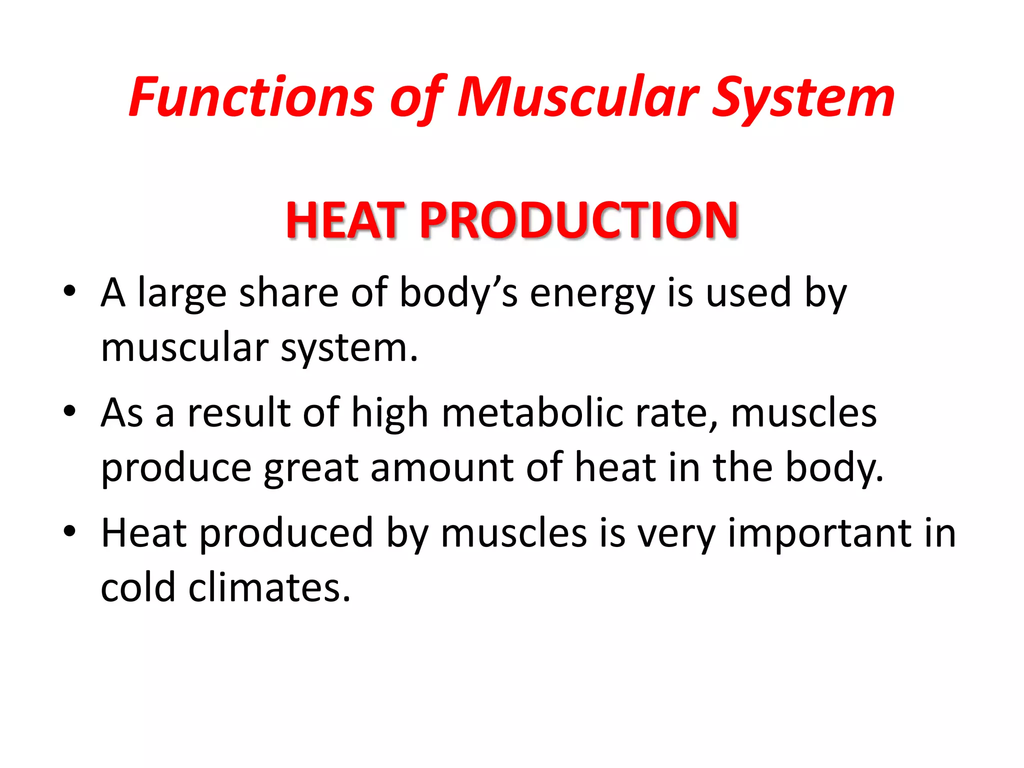 Muscular system | PPTX