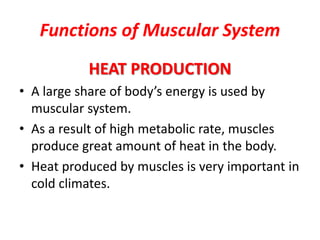 Muscular system | PPTX
