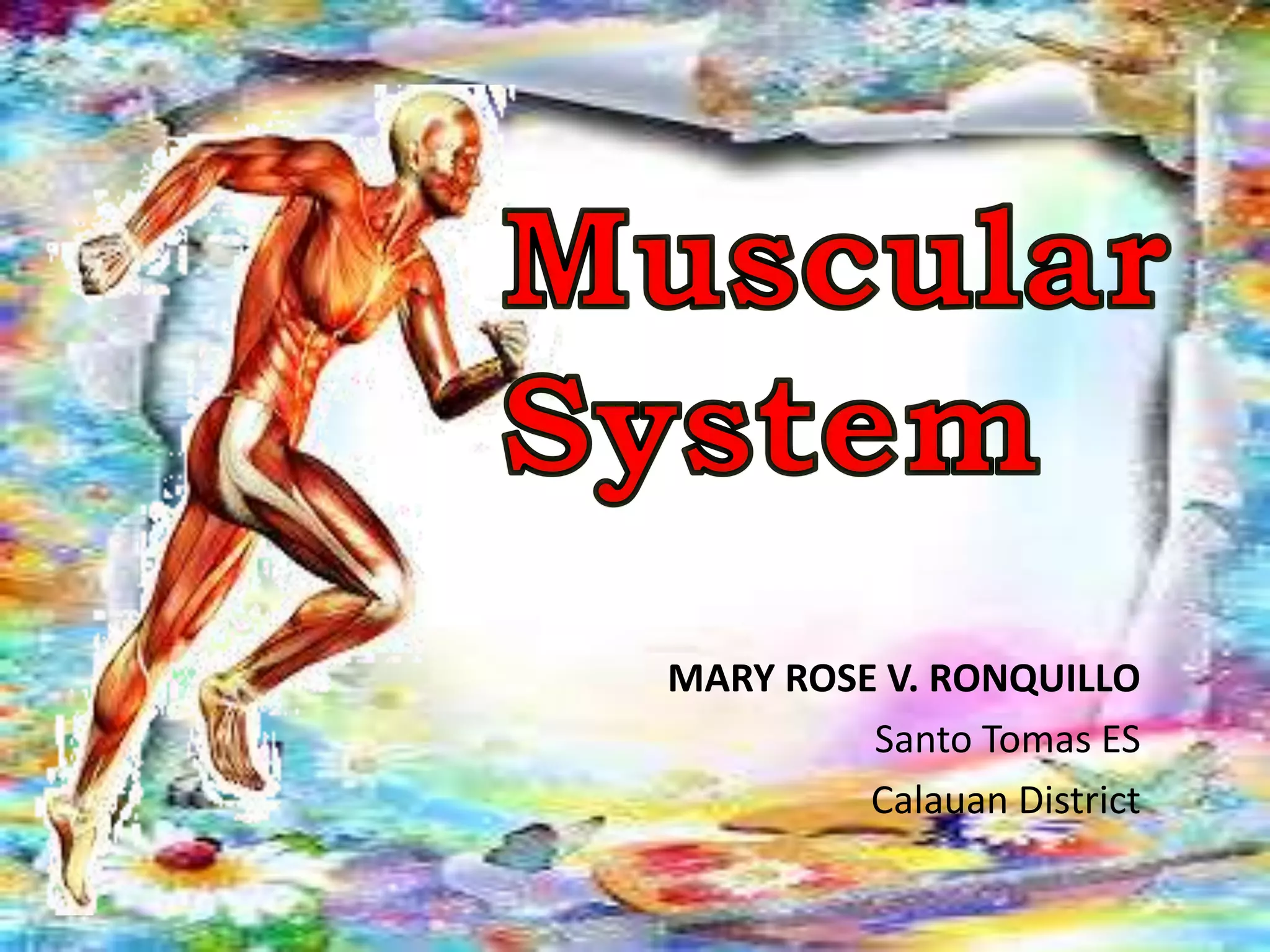 Muscular system | PPT