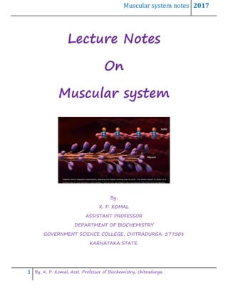 Muscular system | PDF