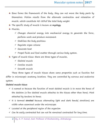 Muscular system | PDF