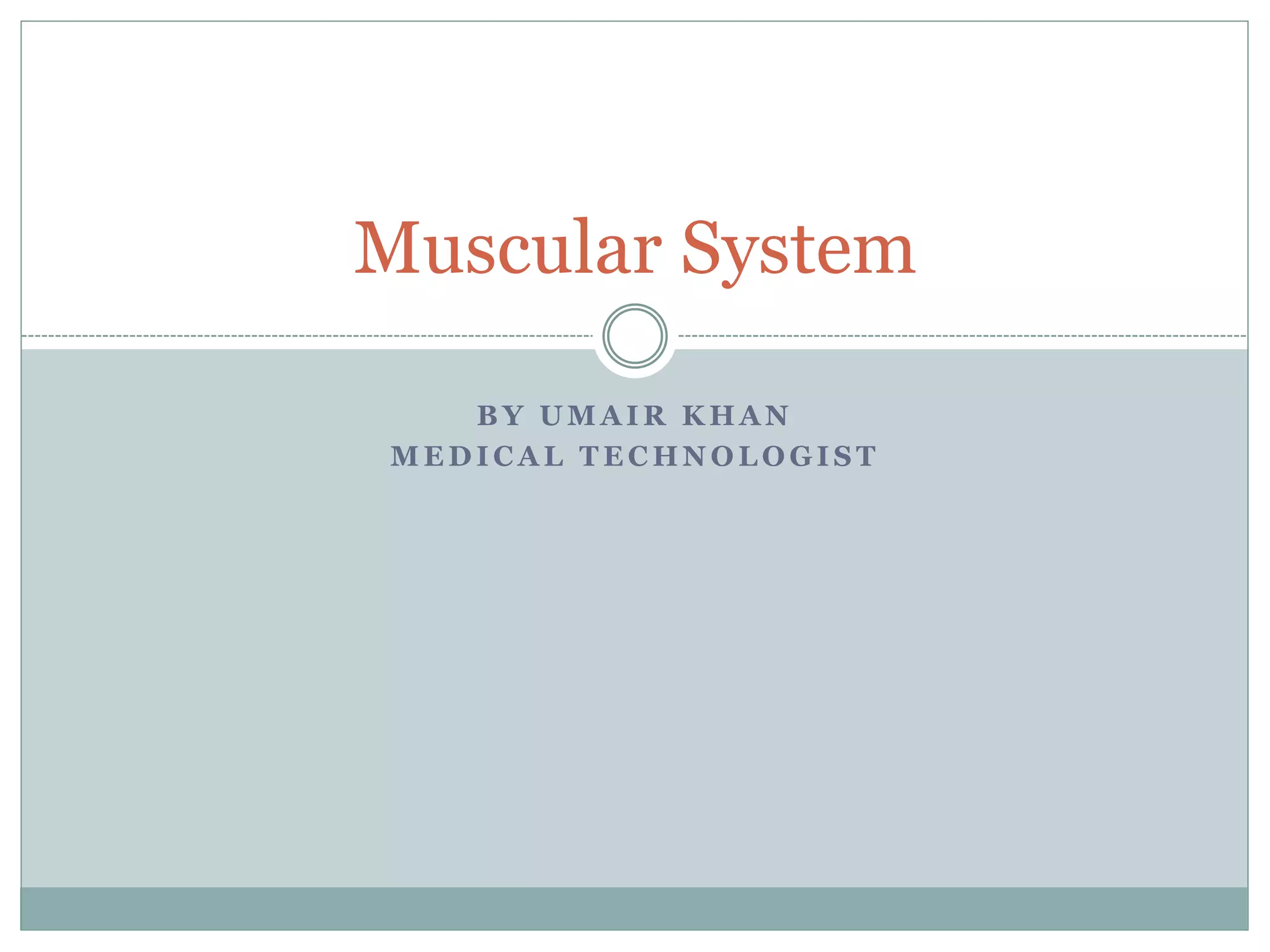 The Muscular System of Human Body | PPTX