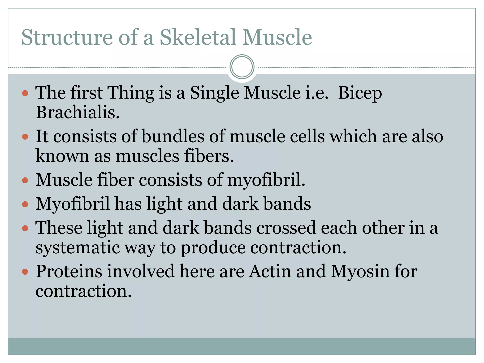 The Muscular System of Human Body | PPTX | Death, Injury, or Military ...