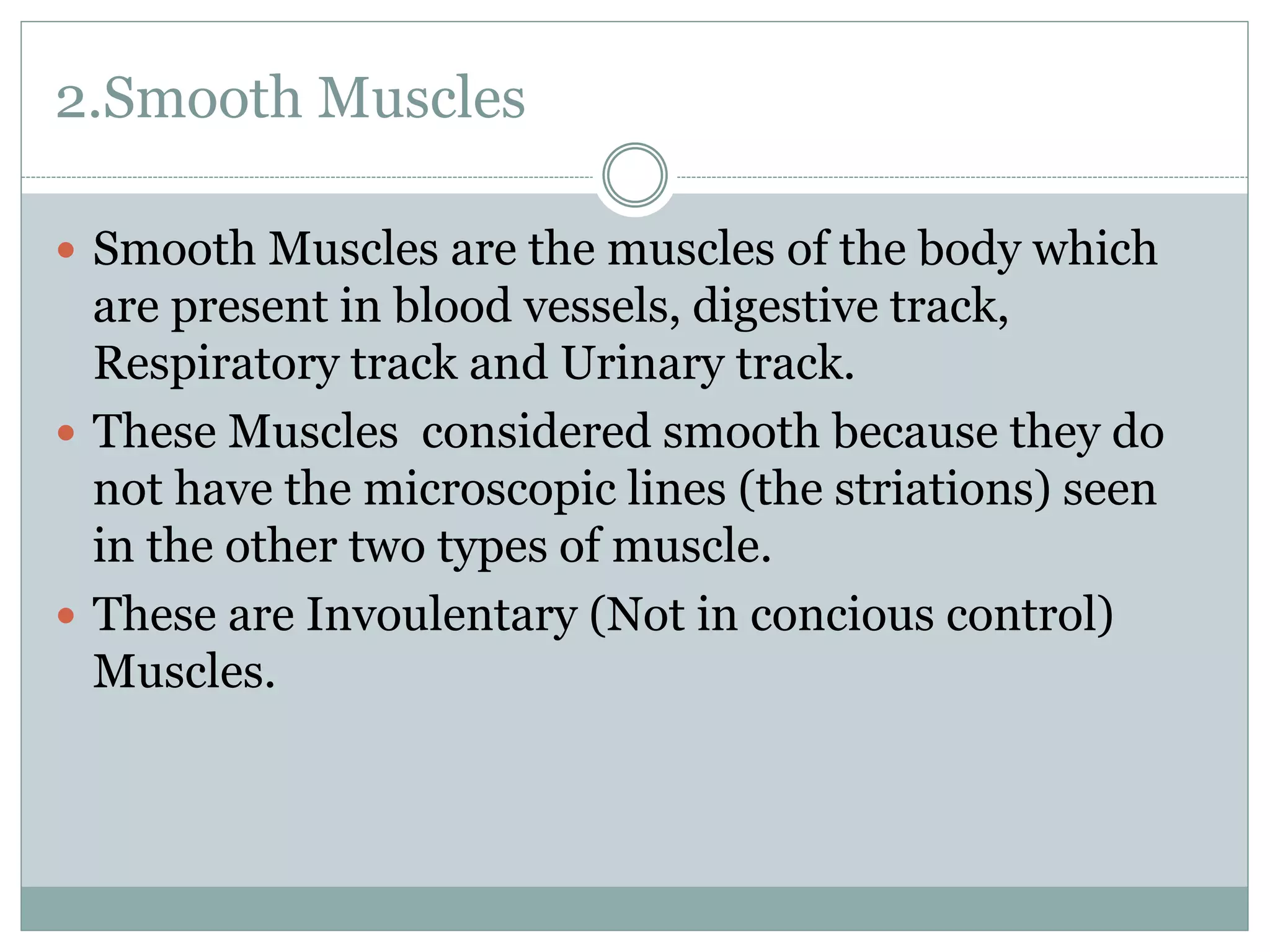 The Muscular System of Human Body | PPTX