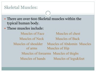 The Muscular System of Human Body | PPTX