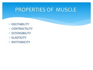 Muscular system | PPTX