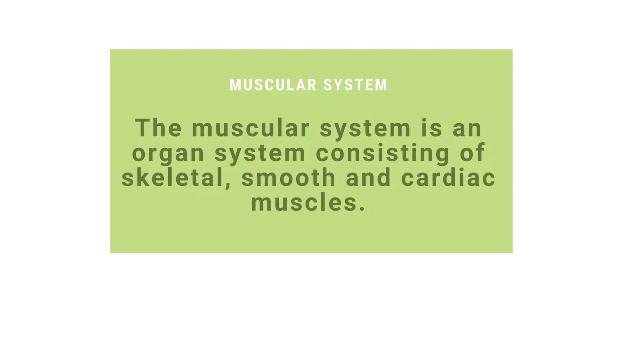 Human Muscular system and its Types and Functions | PPT