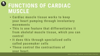 Human Muscular system and its Types and Functions | PPT