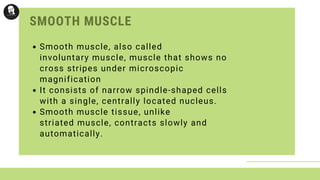 Human Muscular system and its Types and Functions | PDF