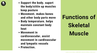 Human Muscular system and its Types and Functions | PPT