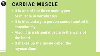 Human Muscular system and its Types and Functions | PPT