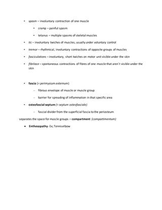 Muscular system | DOCX