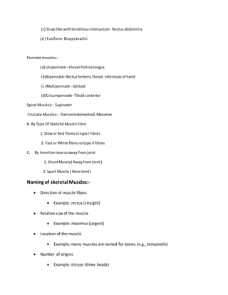 Muscular system | PDF