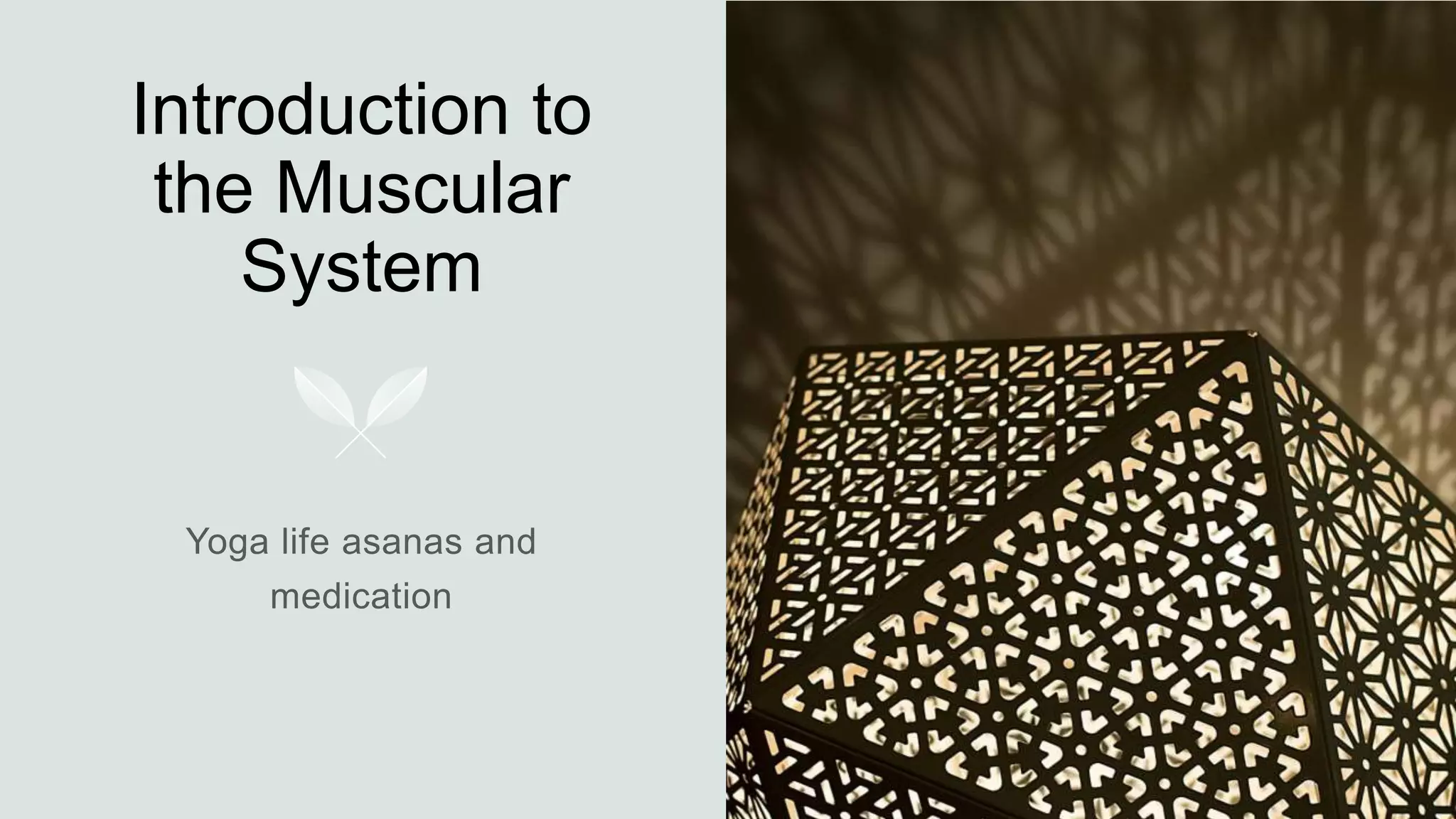 Muscular system | PPT