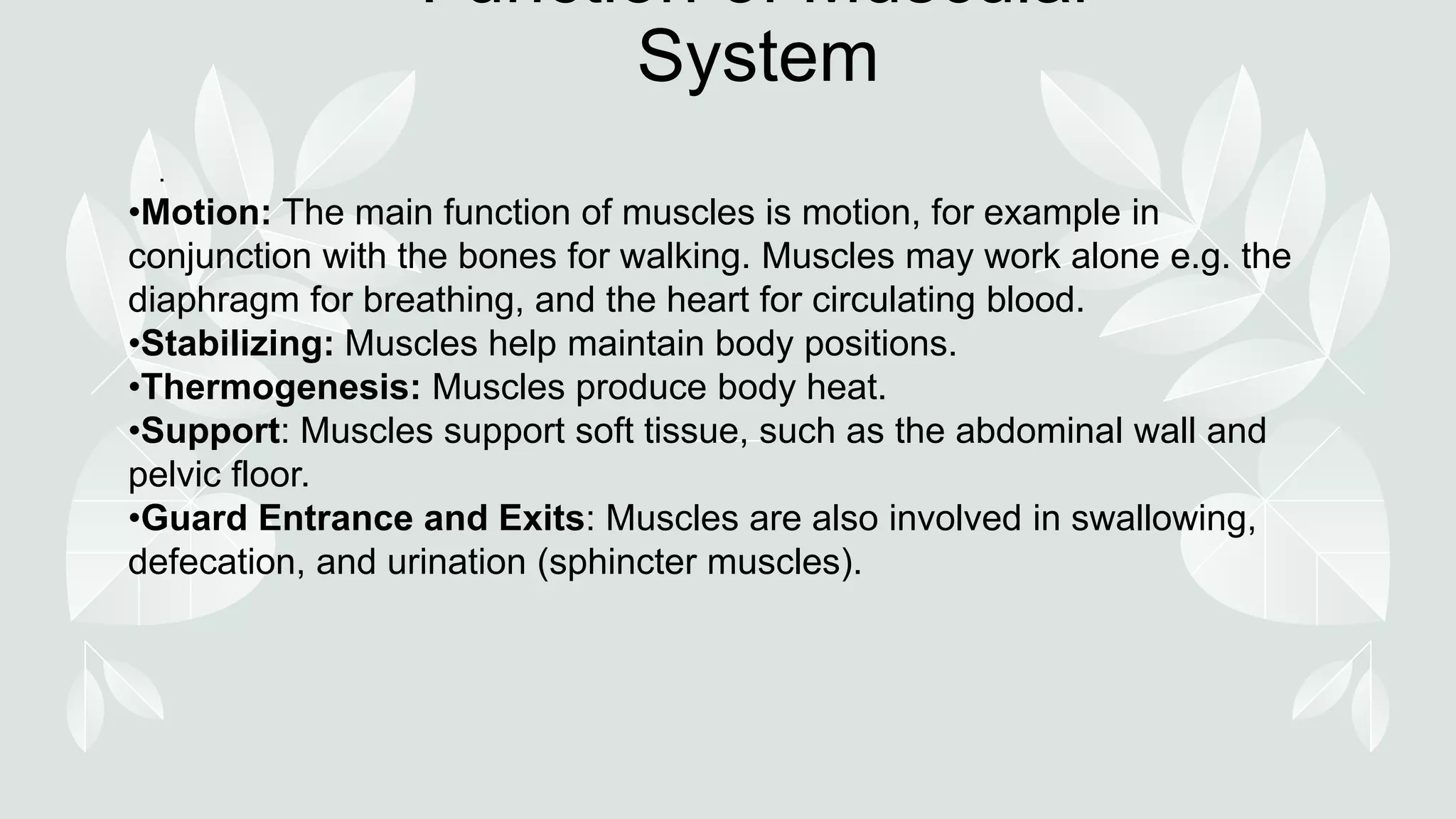 Muscular system | PPT