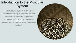 Muscular system | PPT