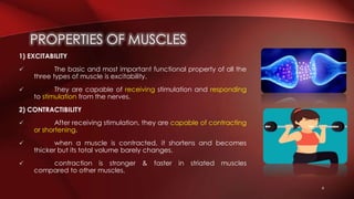Muscular system | PDF | Physical Therapy | Wellness