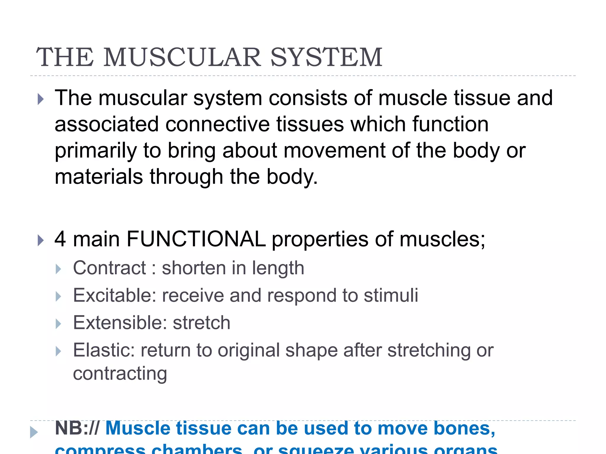 Muscular System.ppt