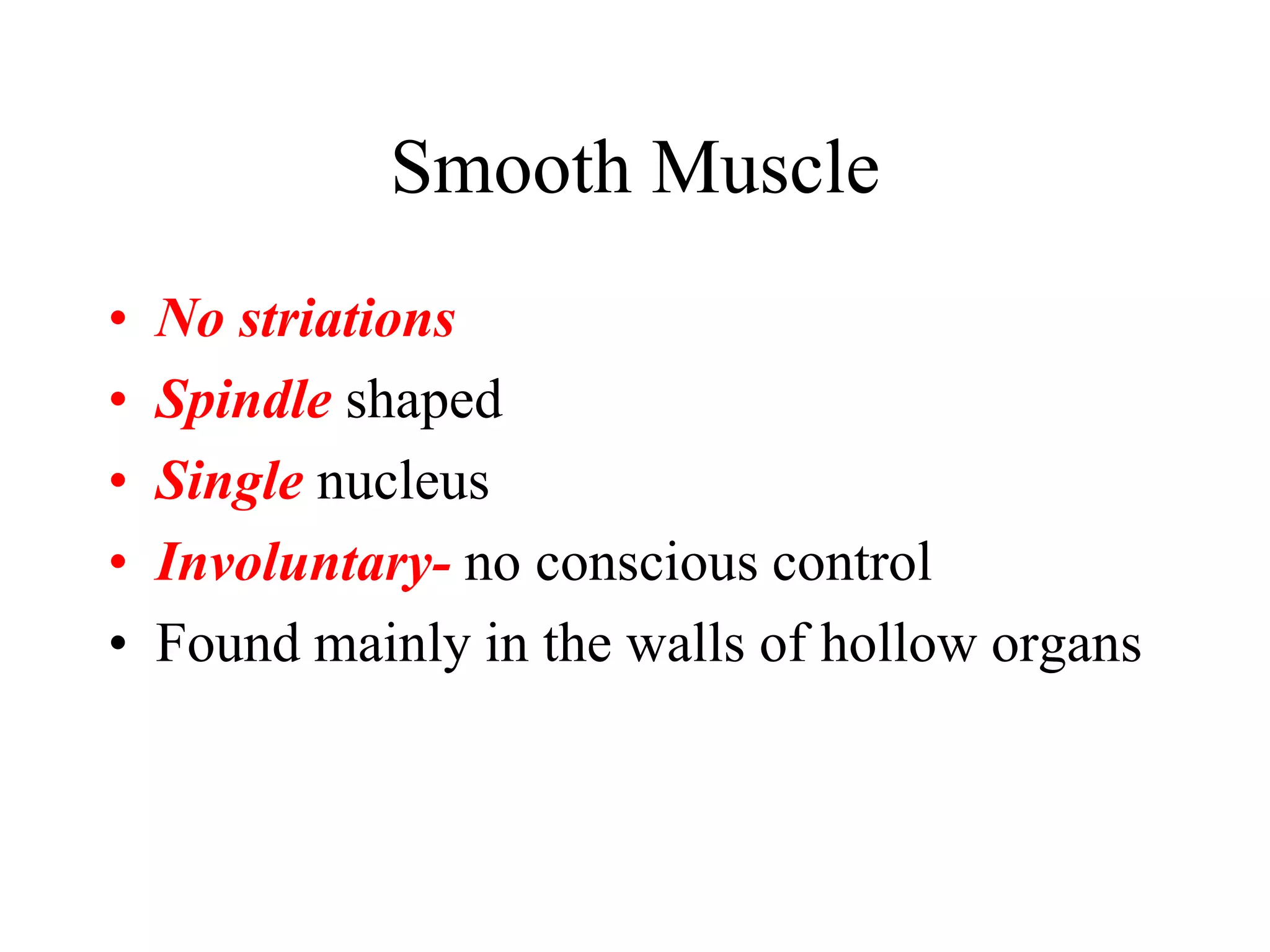 Muscular System.ppt