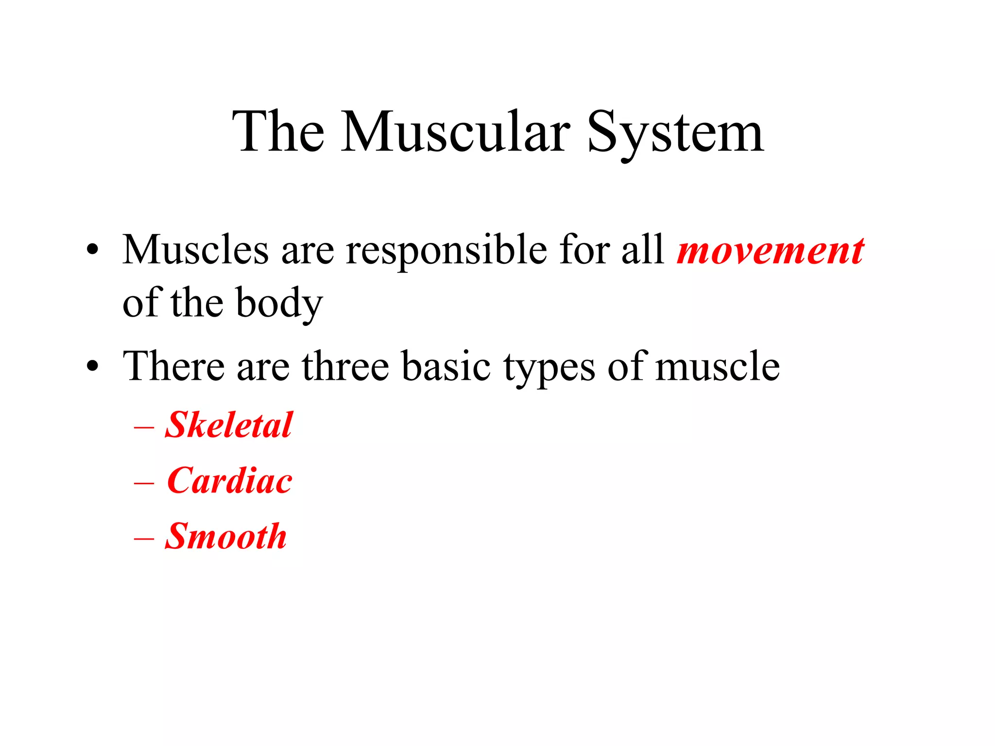 Muscular System.ppt