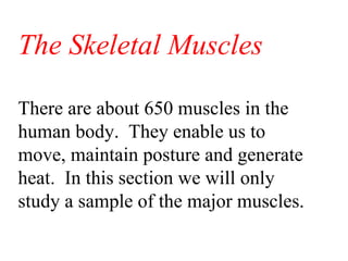 Muscular System.ppt