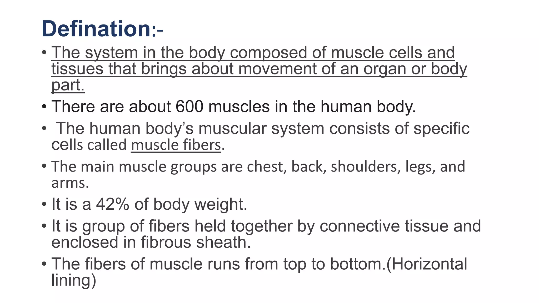 Muscular System.pptx