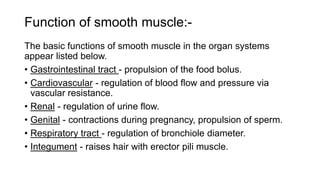 Muscular System.pptx