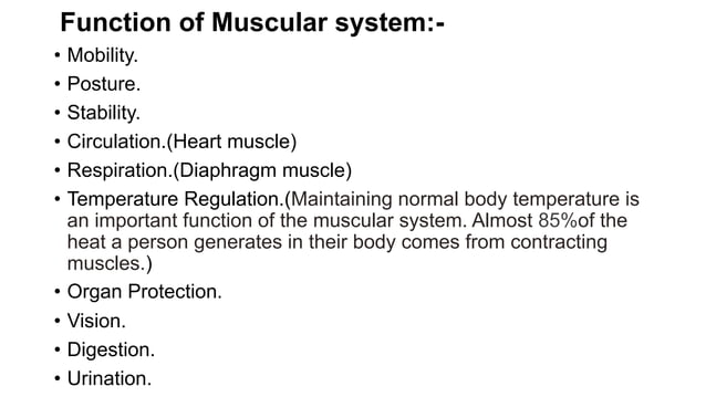Muscular System.pptx | Heart and Cardiovascular Diseases | Diseases and ...