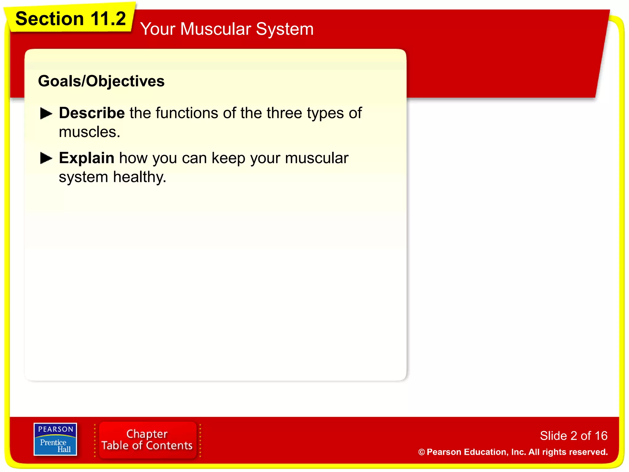 Muscular System.ppt